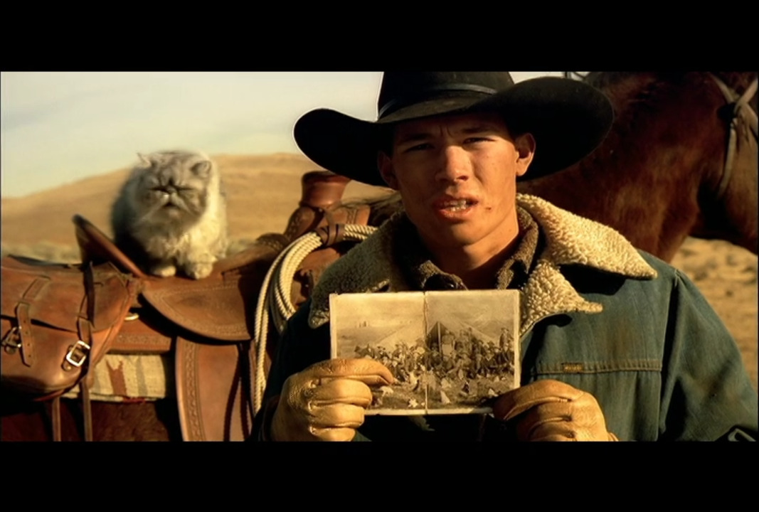 Eds Cat Herders Ad Age